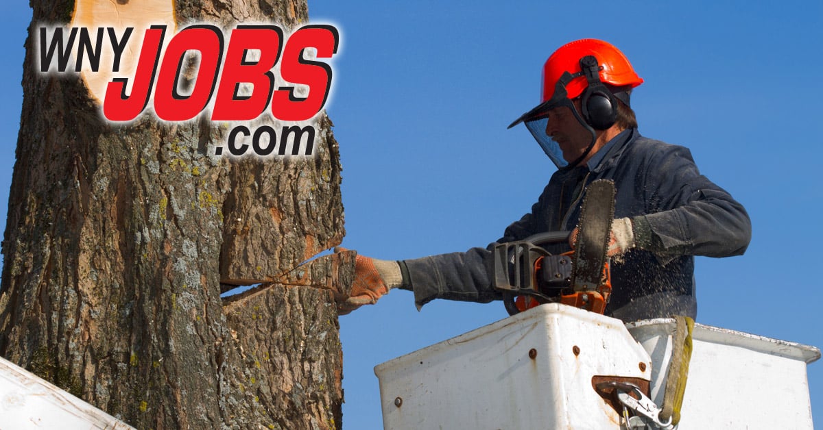 Arborist (Entry Level to Experienced)-Clarence-NY-665468 – WNY Jobs